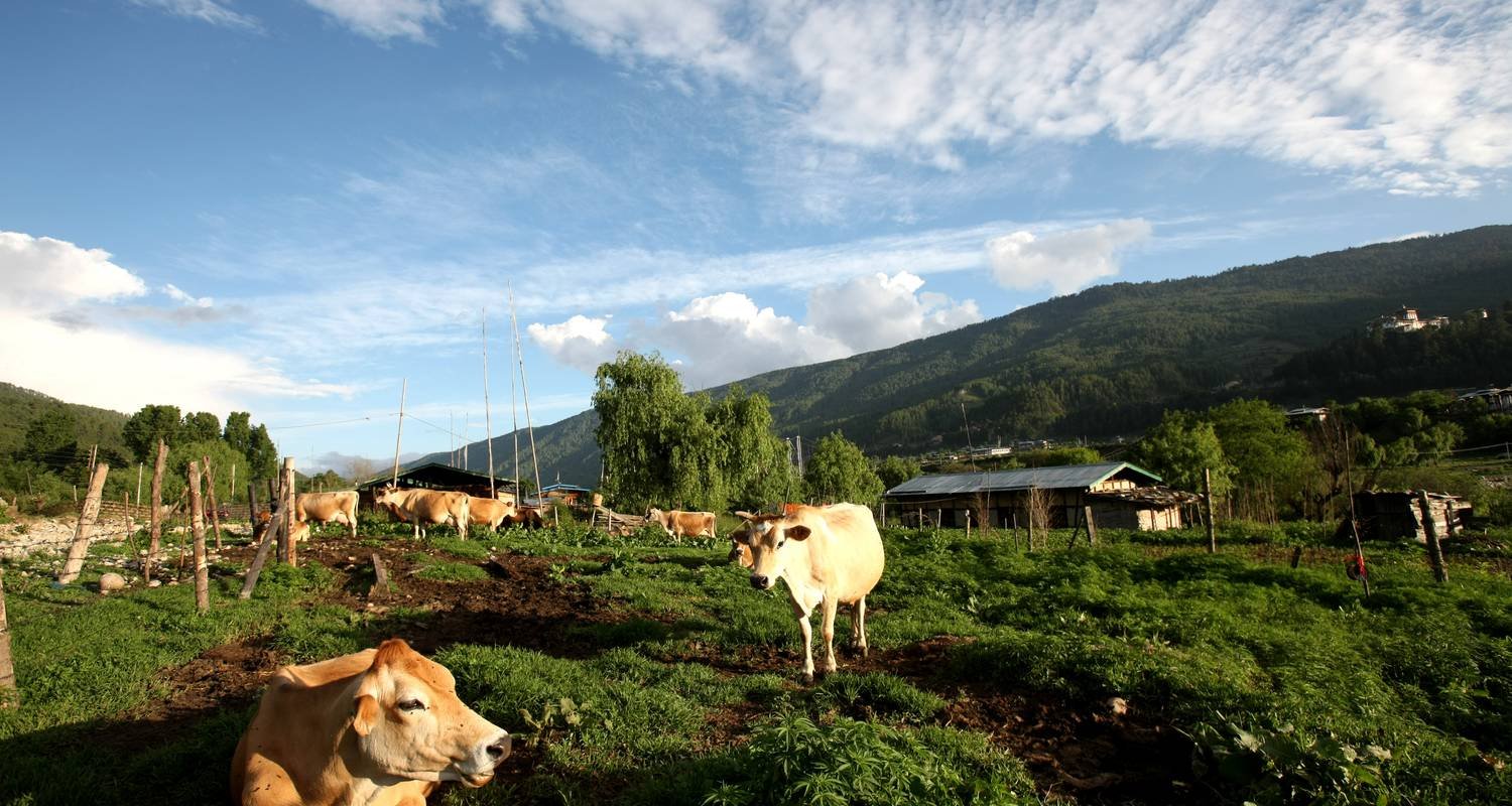 Experience The Beauty Of Bhutan - Visit Communities