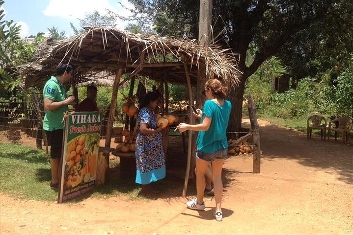 Dambulla Village, Sri Lanka - Visit Communities