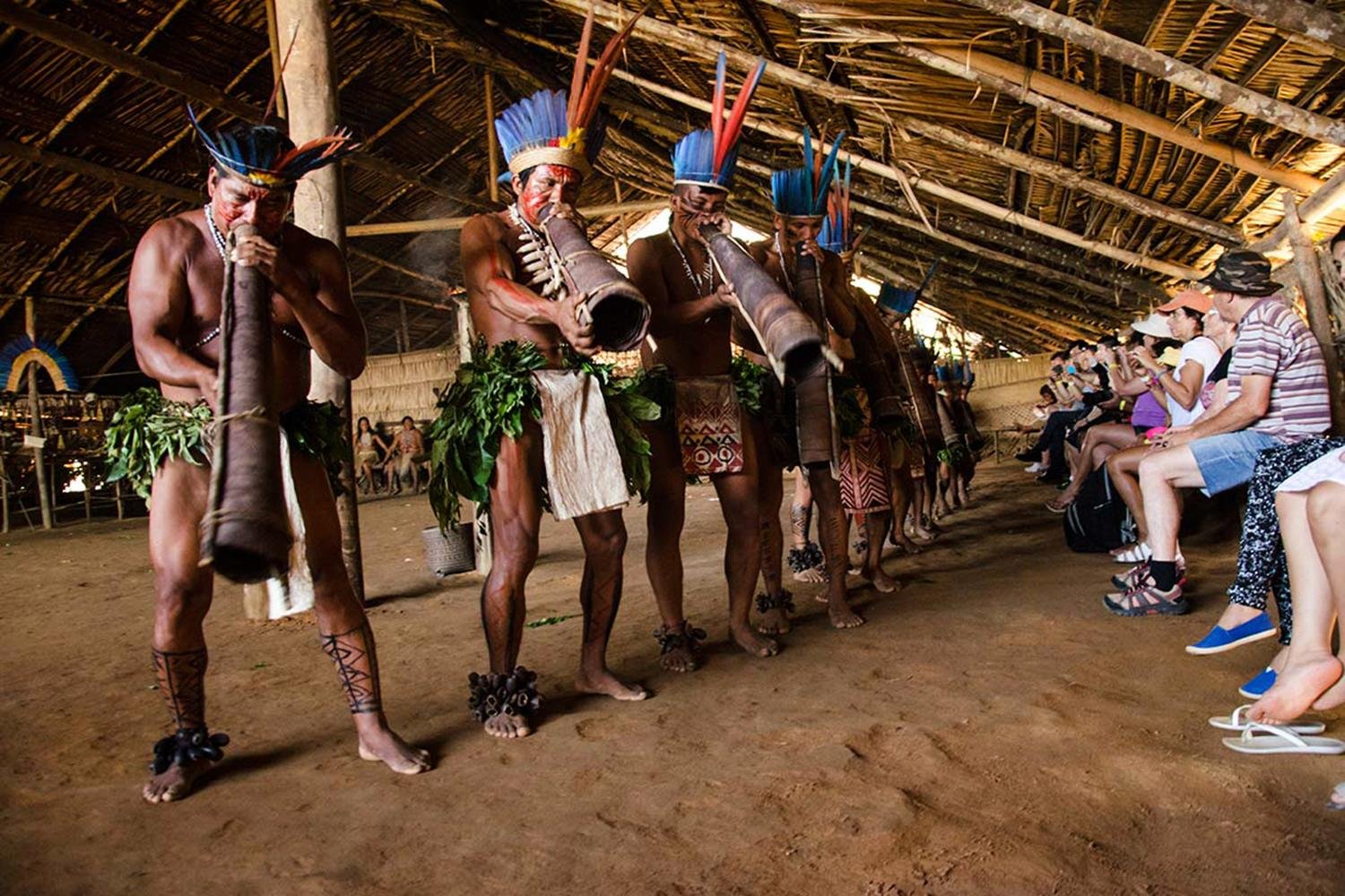 Meeting The Porpoises And Visit To Native Brazilian Village - Visit ...